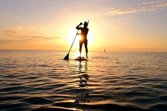 Reef Snorkel & Ocean Paddle Adventure in Fort Lauderdale Beach - Who Will Enjoy This Tour?