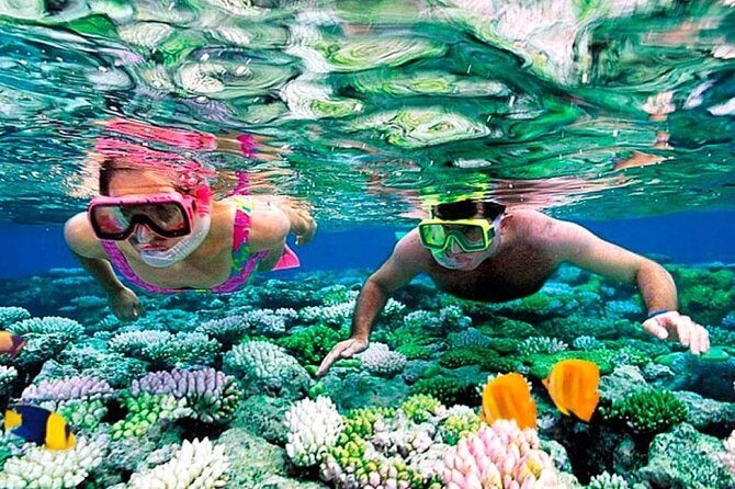 Reef Snorkel, underwater adventure in Puerto Morelos With Transportation & Lunch - A Closer Look at the Reef Snorkel Tour in Puerto Morelos