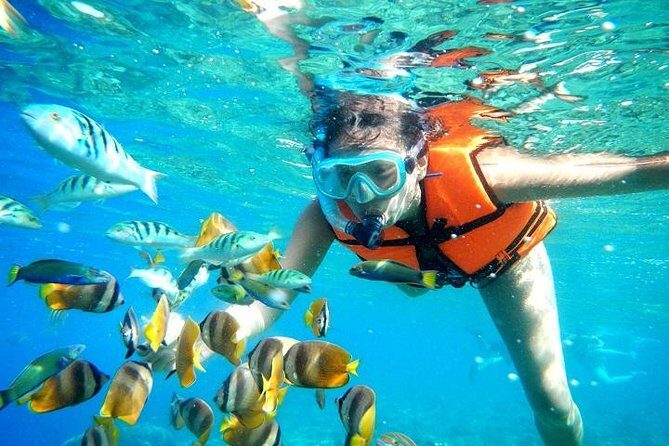 Reef Snorkeling in National Park from Cancun with Beachside Lunch - The Journey Begins: Hotel Pickup and Transport
