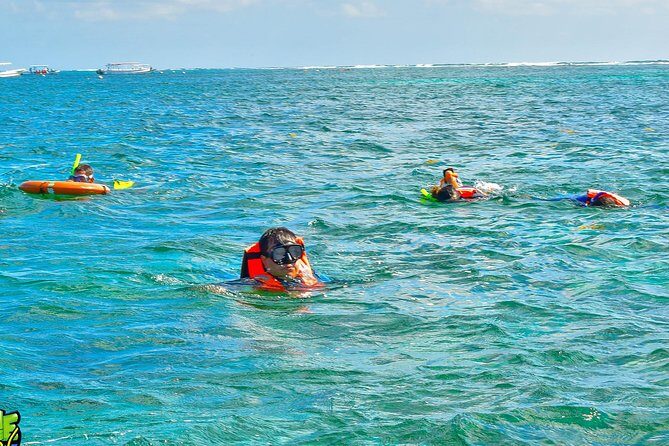 Reef Snorkeling in National Park from Cancun with Beachside Lunch - Returning to Cancun: Round-Trip Convenience