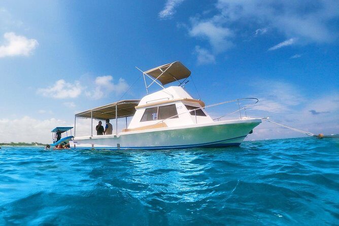 Reef Snorkeling in National Park from Cancun with Beachside Lunch - What Makes This Tour Stand Out?
