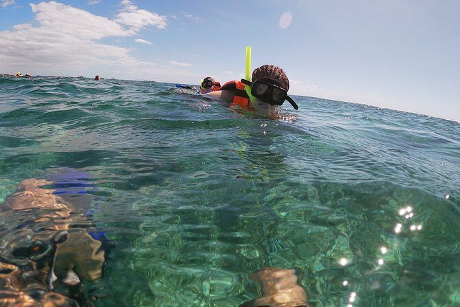 Reef Snorkeling with ATV, Zipline, Cenote that includes lunch and transportation - What Makes This Tour Stand Out?