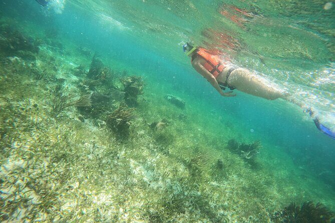 Reef Snorkeling with ATV, Zipline, Cenote that includes lunch and transportation - Value for Money and Practical Details