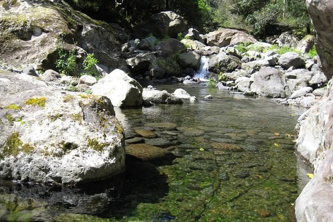 Referta Castelejo Levada Walk From Funchal - What to Expect on the Trail