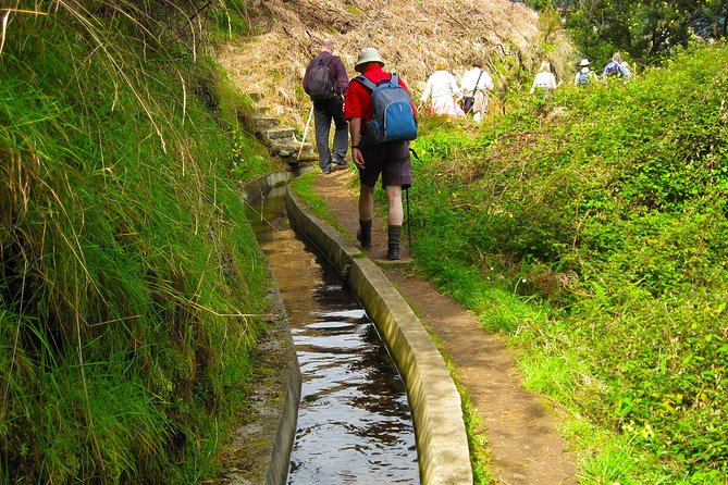Referta Castelejo Levada Walk From Funchal - Wildlife and Flora Along the Levada