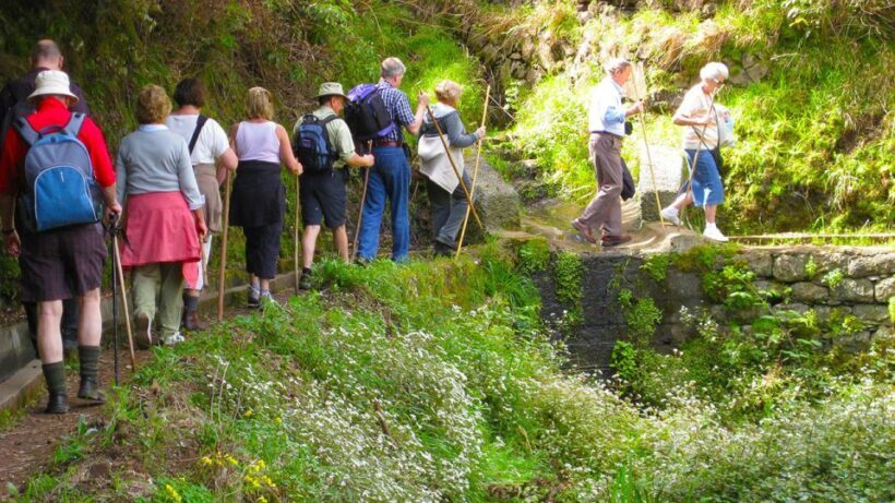 Referta / Castelejo - Levada Walk - Why Choose the Referta / Castelejo Levada Walk?