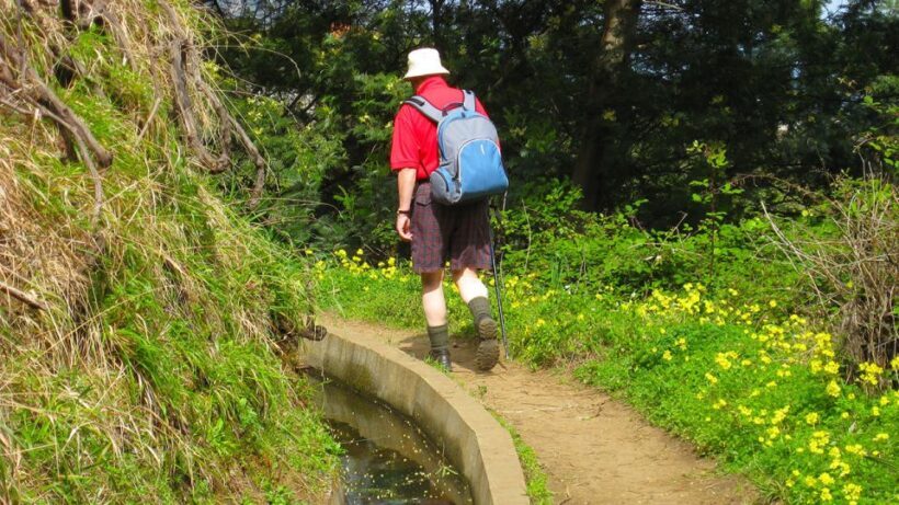 Referta / Castelejo - Levada Walk - Authentic Experiences and Authentic Guides
