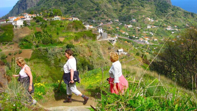 Referta / Castelejo - Levada Walk - Who Is This Tour Best For?