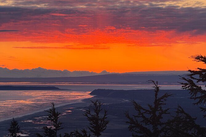 Refined Alaskan Escape: Private, Custom Journey with Local Expert - The Experience in Real Terms: What You Can Expect
