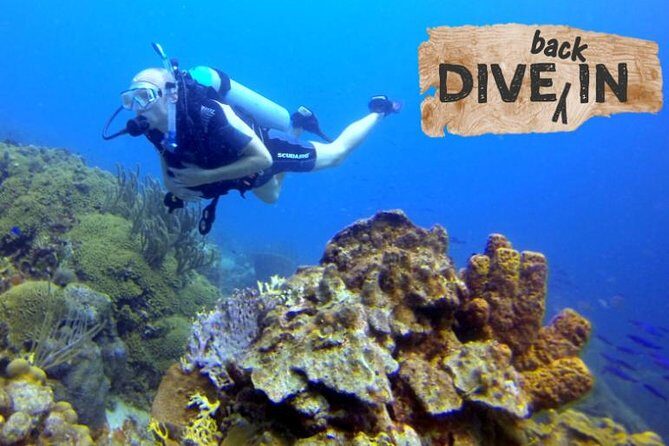 Refresher Dive - Key Points