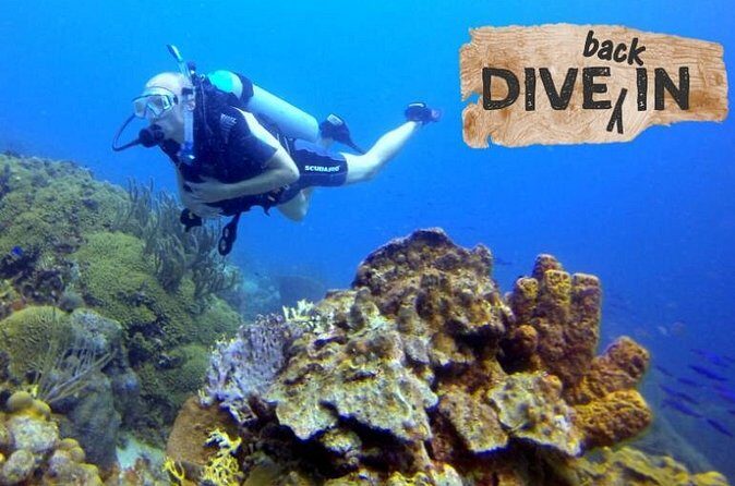 Refresher Dive - Final Thoughts: Who Will Love This Experience?
