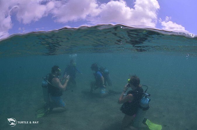 Refresher Dive - Final Words