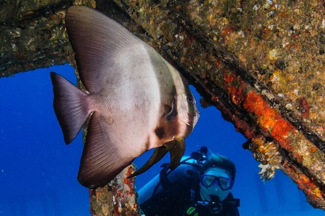 Refresher scuba diving trip, 3 dives at Racha Noi and Racha Yai - What to Expect from the Experience