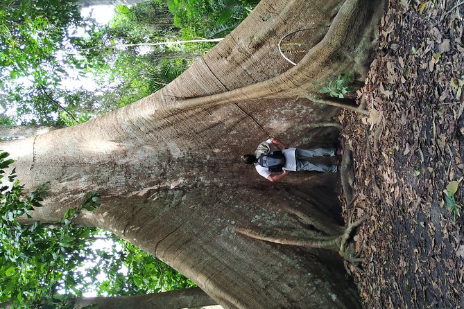 Regional Cruise in the Amazon - Inclusions and Amenities