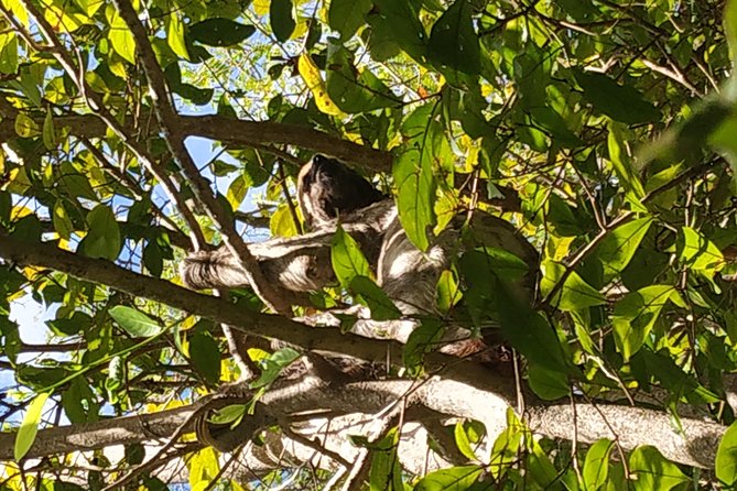 Regional Cruise in the Amazon - Accessibility and Participation Requirements