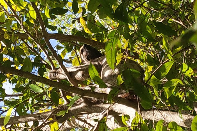 Regional Cruise in the Amazon - Pricing and Booking Details