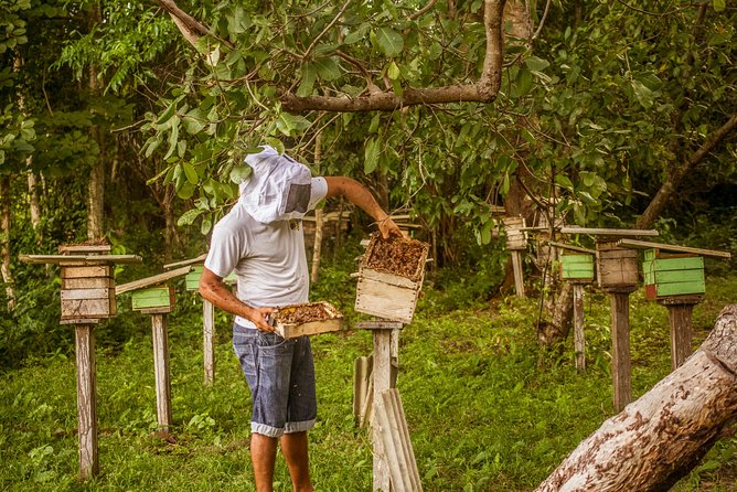 Regional Cruise in the Amazon - Cultural Immersion Experiences