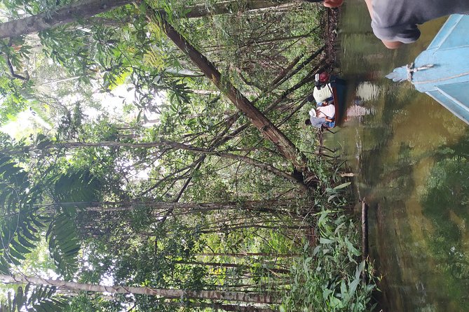 Regional Cruise in the Amazon - Navigating the Amazon Waterways