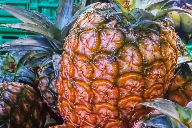 Regional food experience in Ponta Delgada - The Sum Up