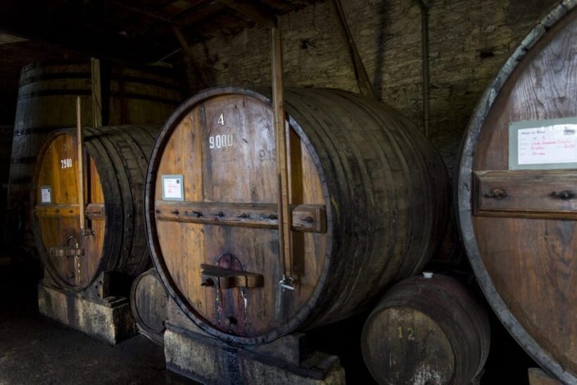 Régua: Wine Tasting at a Farm, Traditional Lunch, Cruise and Train - A Genuine Taste of Portugal’s Douro Valley: A Comprehensive Tour Experience