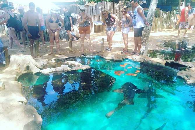 Regular Tour to Forte Beach - Leaving Salvador by Bahia Top Turismo - Traveler Feedback and Insights