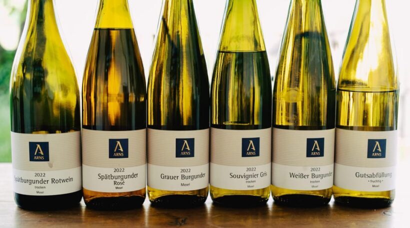 Reil, Mosel: Guided organic wine tasting and cellar tour - The Experience Overview