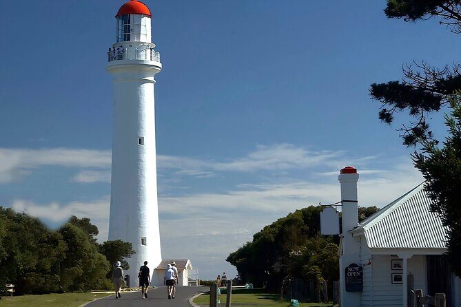 Reimagined Great Ocean Road 1-Day Tour from Melbourne - Who Would Love This Tour?