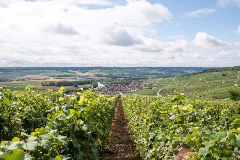 Reims: Champagne House Mumm, Winery Visit with Lunch - Who Will Love This Tour?