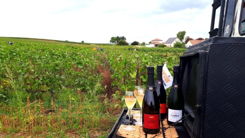 Reims: L'Incontournable Tradition & Dégustation panoramique - Who Will Love This Experience?
