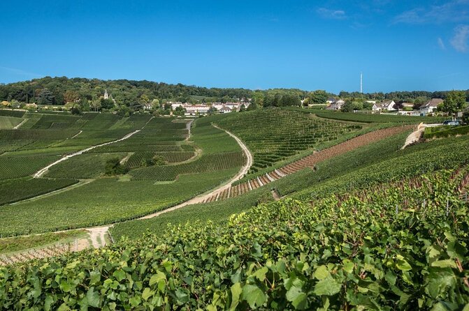 Reims: Small-Group Champagne Tour with Champagne Tastings and Lunch - Who Is This Tour For?