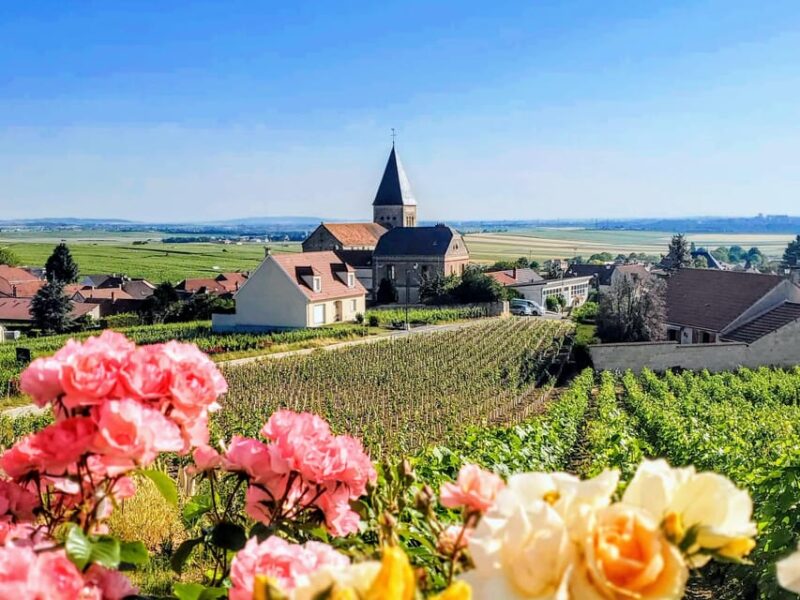 Reims: Veuve Clicquot Tasting Private Tour in Champagne - Who Will Love This Tour?