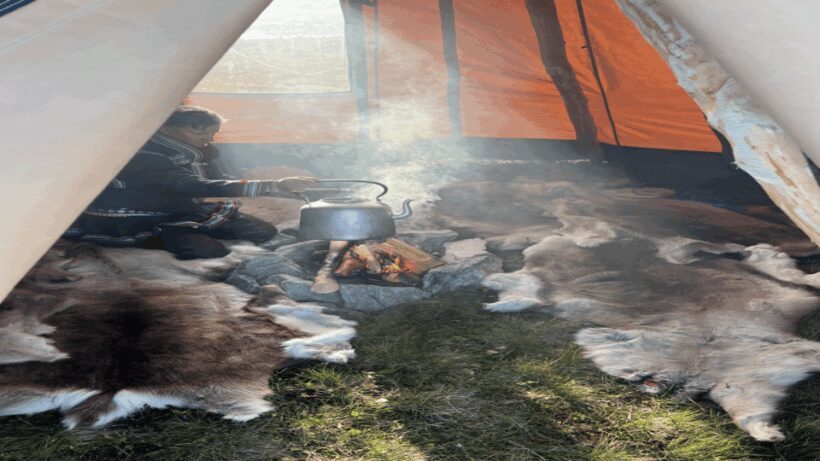 Reindeer and Stories: A Sami Cultural Adventure - An In-Depth Look at the Sami Cultural Experience