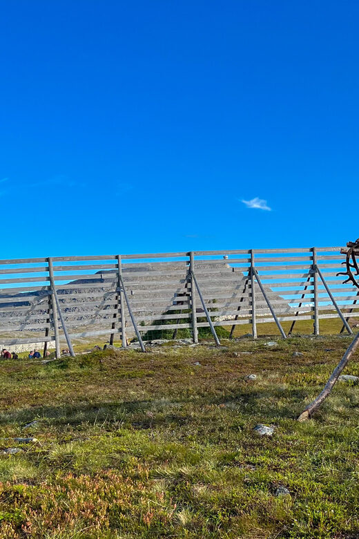 Reindeer and Stories: A Sami Cultural Adventure - Practical Tips for Travelers
