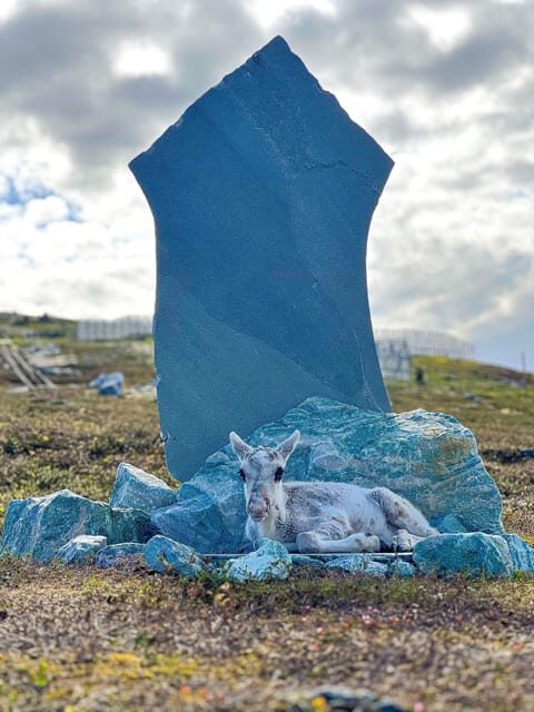 Reindeer and Stories: A Sami Cultural Adventure - Final Thoughts