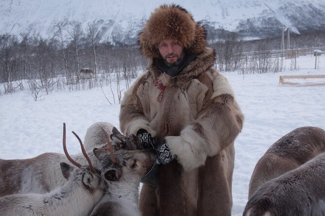 Reindeer Feeding & Saami Culture - Recommended Attire and Weather Considerations