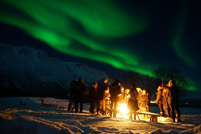 Reindeer Feeding & Saami Culture With Chance for Northern Lights - Meeting and Logistics