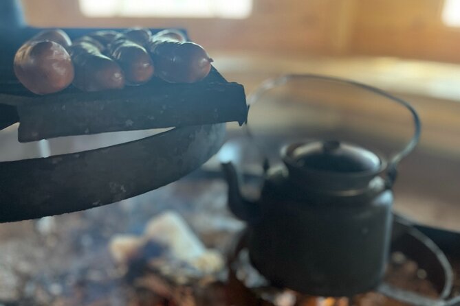 Reindeer Herding and a Snowmobile Slegh Ride - Key Points