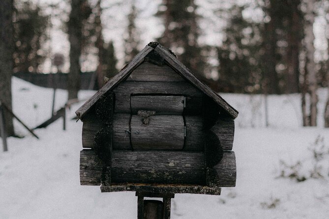 Reindeer Herding and a Snowmobile Slegh Ride - Who Will Love This Tour?