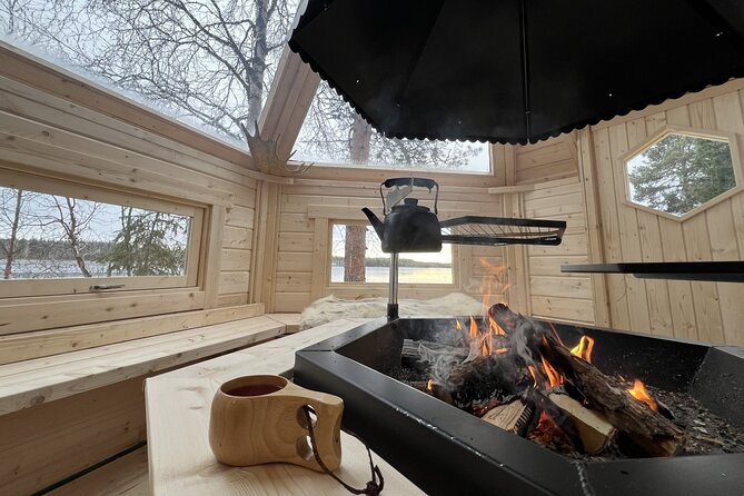 Reindeer Herding and a Snowmobile Slegh Ride - The Sum Up: Is It Worth It?