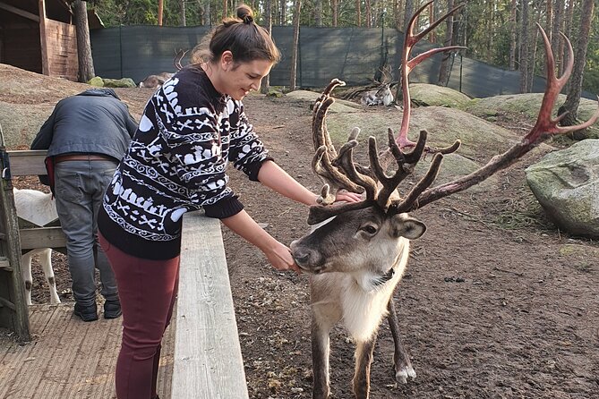 Reindeer Park Adventure (Private Service) - Pricing and Cancellation Policy