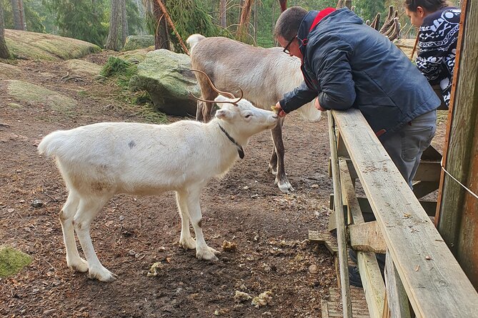 Reindeer Park Adventure (Private Service) - Frequently Asked Questions