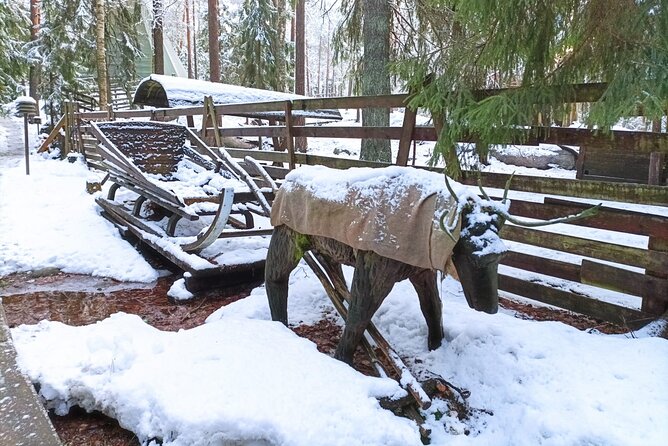 Reindeer Park Adventure VIP Car (private service) - Logistics and Practical Information