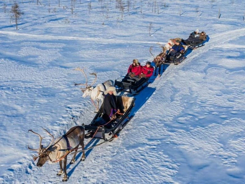 Reindeer Safari at a 200-Year-Old Farm & Long Sled Ride - Cultural Significance and Authenticity