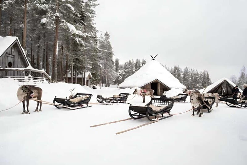 Reindeer Safari at a 200-Year-Old Farm & Long Sled Ride - Who Should Consider This Tour?