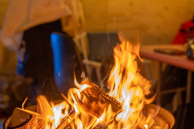 Reindeer Sledding, Feeding And Sami Culture At Reindeer Farm - Key Points