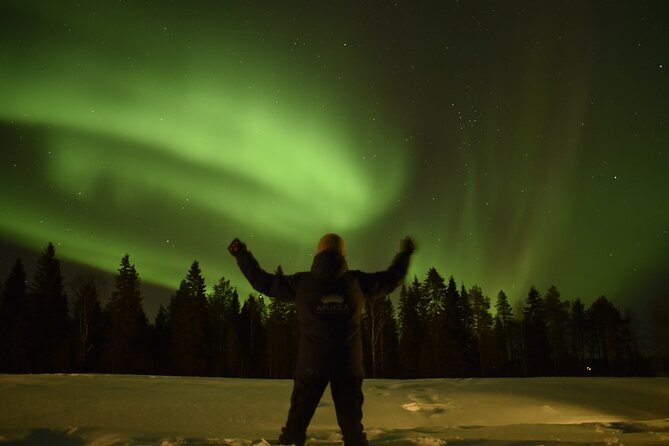 Reindeer sleigh ride across the night in Apukka Resort Rovaniemi - Who Should Consider This Tour?