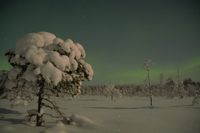 Reindeer sleigh ride across the night in Apukka Resort Rovaniemi - Frequently Asked Questions