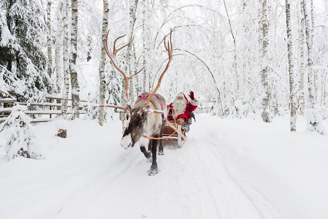 Reindeer Sleigh Ride and Farm Experience From Rovaniemi - Itinerary and Activities