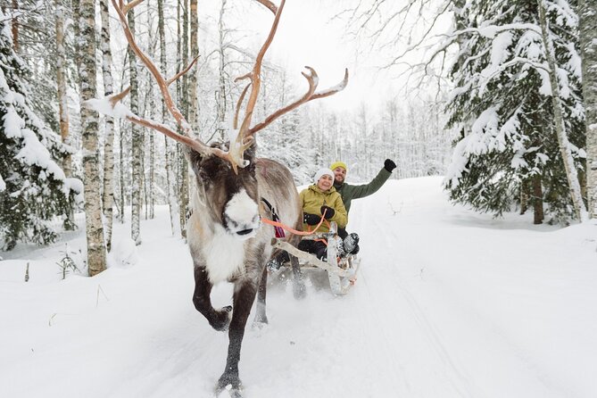 Reindeer Sleigh Ride and Farm Experience From Rovaniemi - Tour Requirements and Accessibility