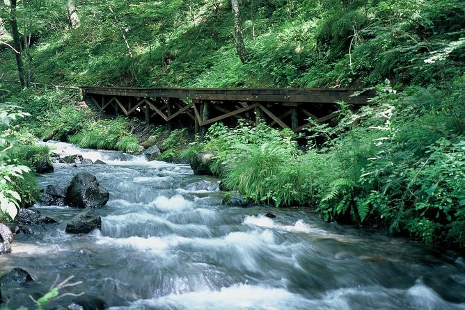 Relax and Refresh in Karuizawa Forest! Shinanoji Down Trekking Around Two People - Common Questions